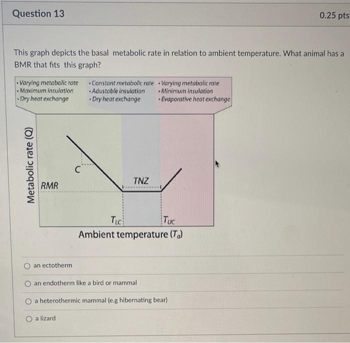Solved Question 13 0.25 pts This graph depicts the basal | Chegg.com