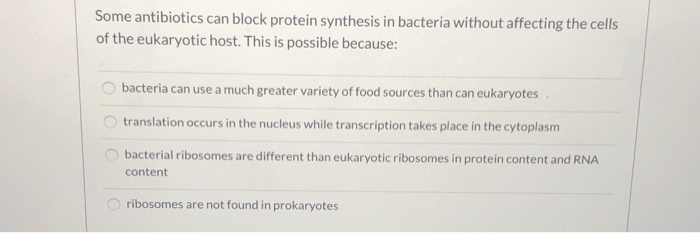 Solved Near deep sea hydrothermal vents, where there is no | Chegg.com