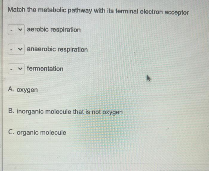 Solved Match the metabolic pathway with its terminal | Chegg.com