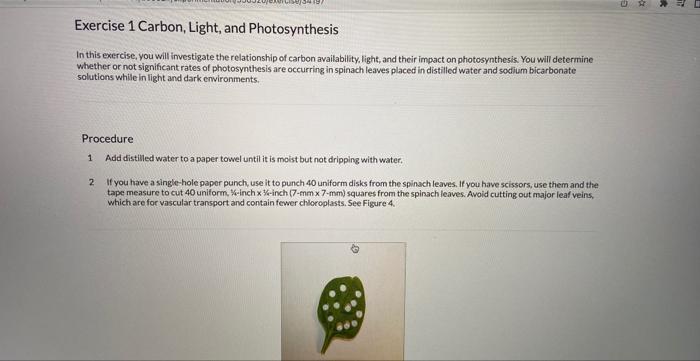 Solved Exercise 1 Carbon, Light, and Photosynthesis In this | Chegg.com