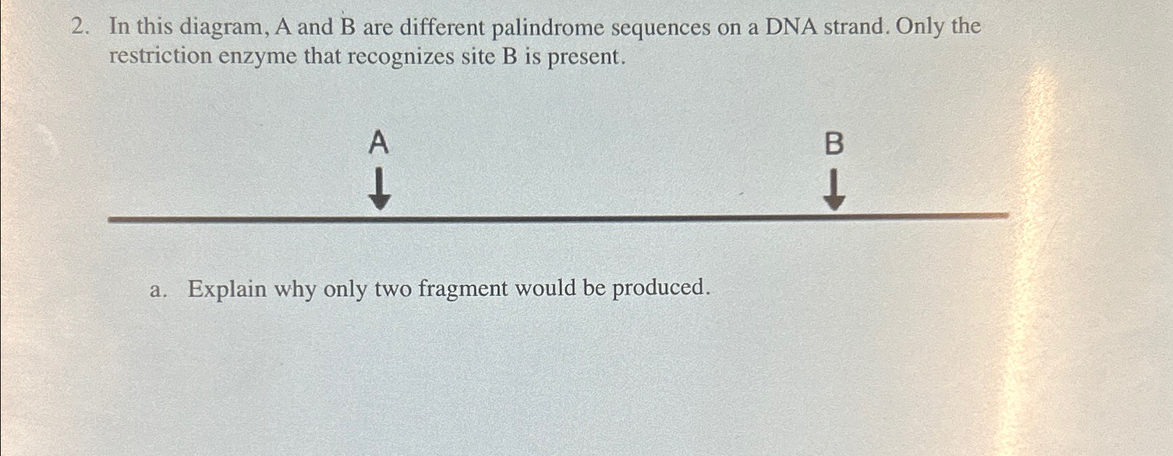 Solved In this diagram, A and B ﻿are different palindrome | Chegg.com
