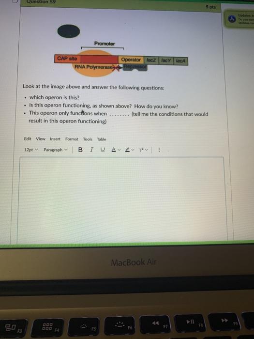 Solved Question 59 5 pts $ Promoter CAP ulte RNA Polymerase | Chegg.com