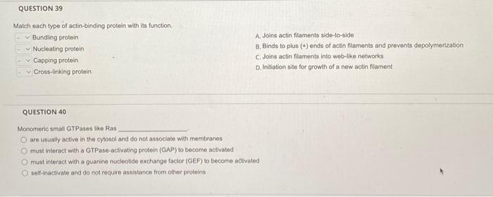 Solved Match each type of actin-binding protein wath its | Chegg.com