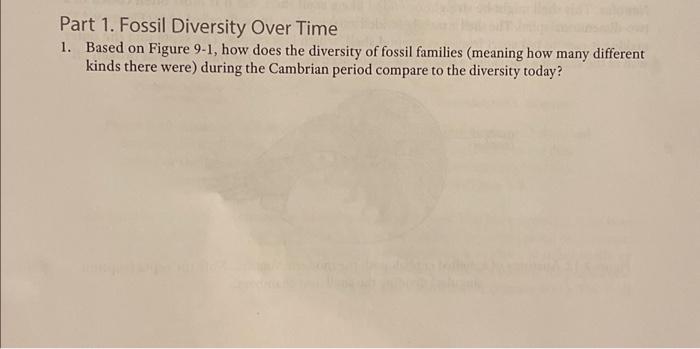Solved odzin Usde eidt z Part 1. Fossil Diversity Over Time | Chegg.com