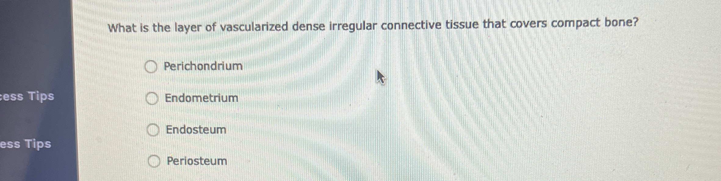 Solved What is the layer of vascularized dense irregular | Chegg.com