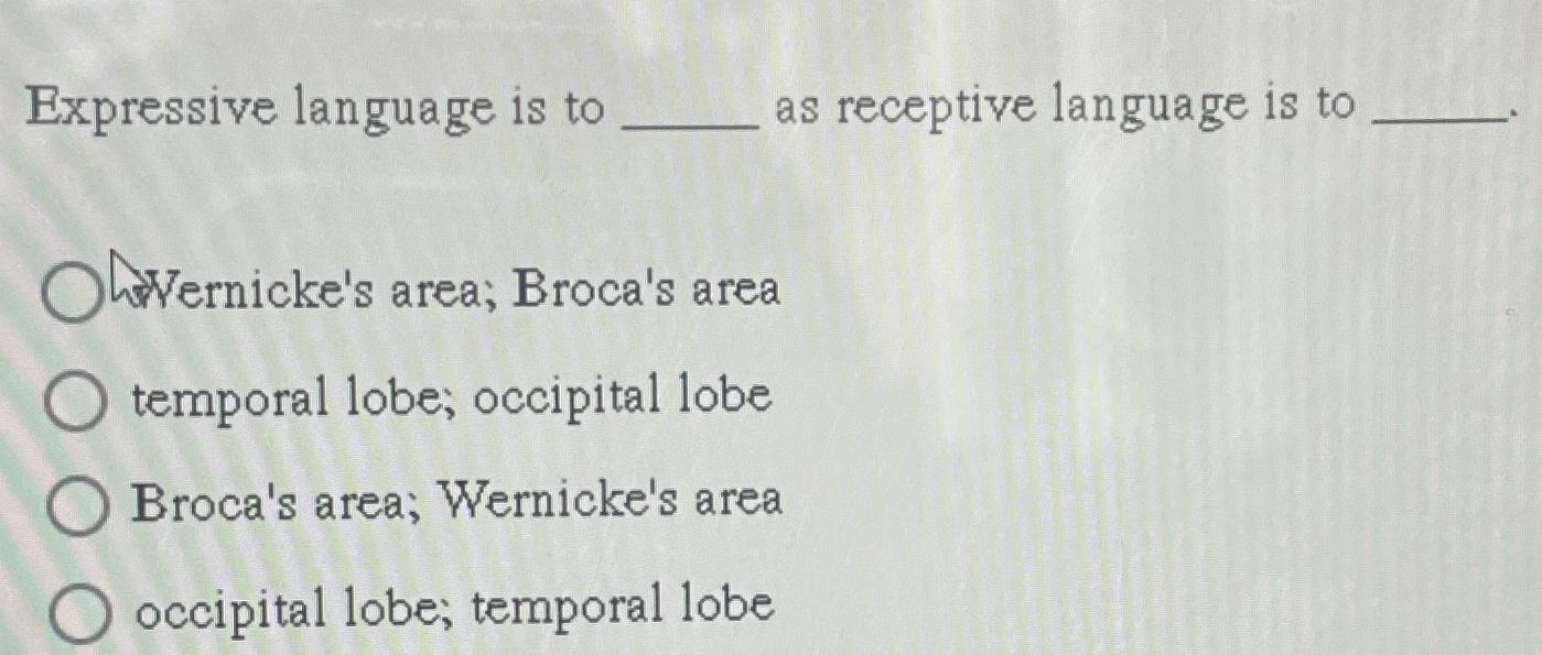 Solved Expressive language is to as receptive language is | Chegg.com