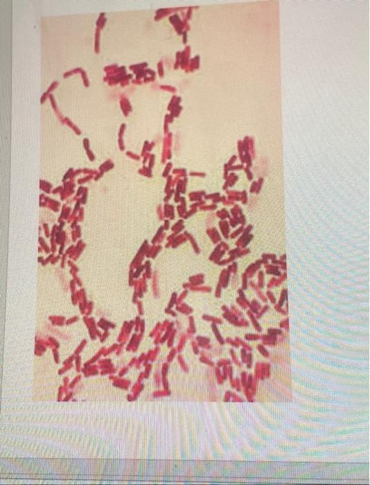 Solved kindly help me identify this unknown the follow are | Chegg.com