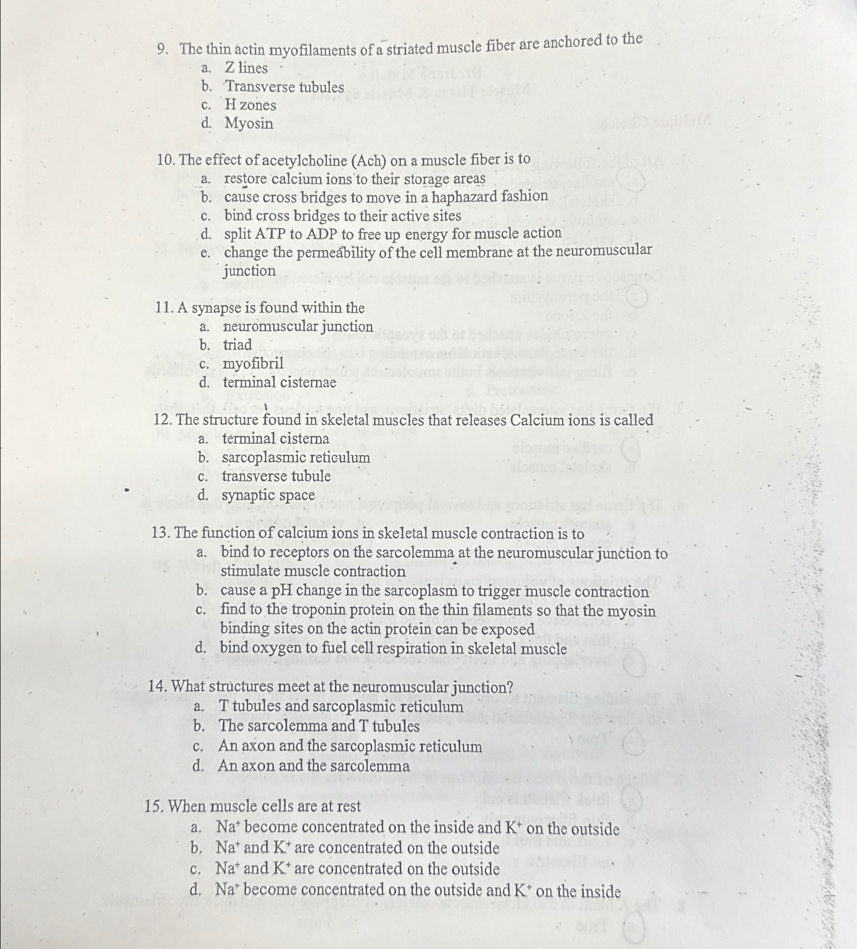 Solved The thin actin myofilaments of a striated muscle | Chegg.com