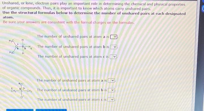 Solved Unshared, or lone, electron pairs play an important | Chegg.com