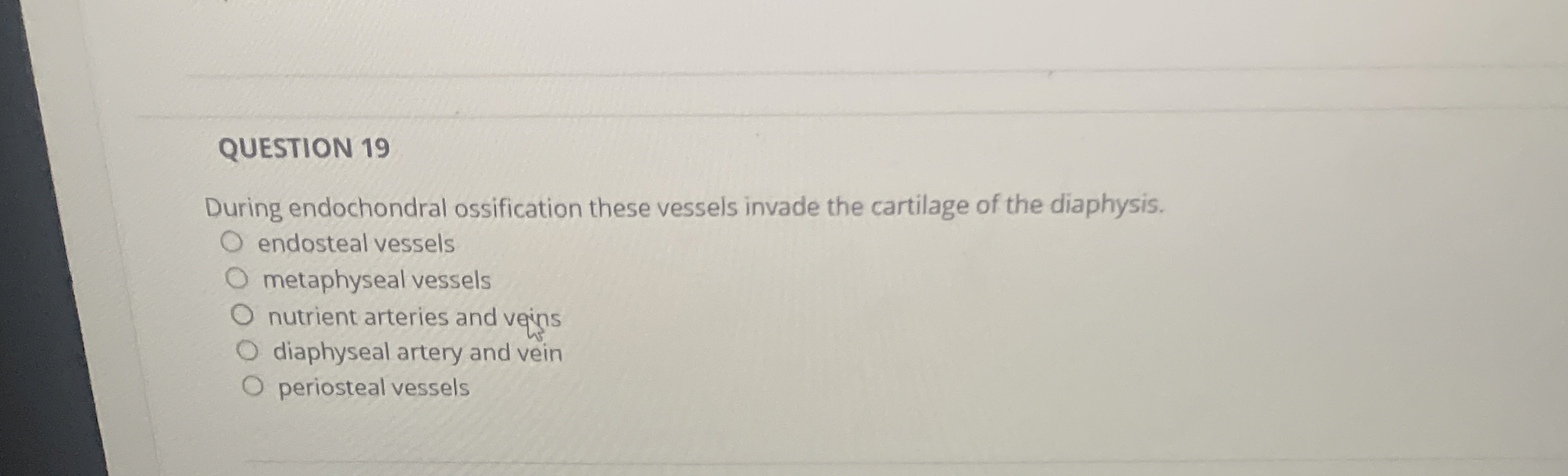 Solved QUESTION 19During endochondral ossification these | Chegg.com