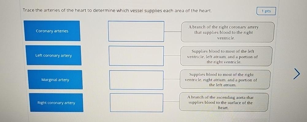 Solved Trace the arteries of the heart to determine which | Chegg.com