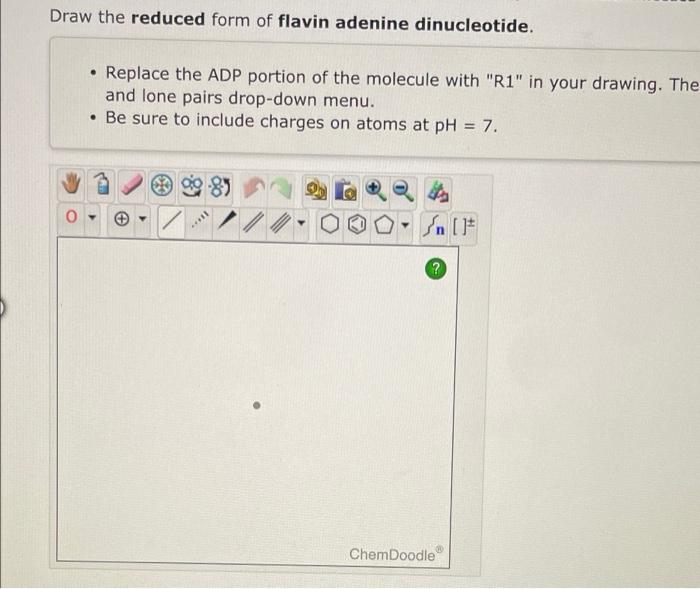 Solved Draw the reduced form of flavin adenine dinucleotide. | Chegg.com