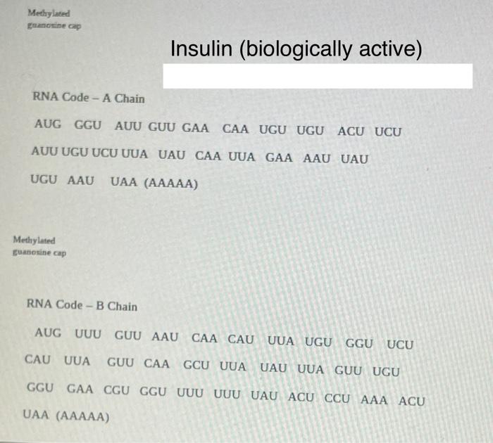 Solved what is the corresponding DNA sequence to chain A & | Chegg.com