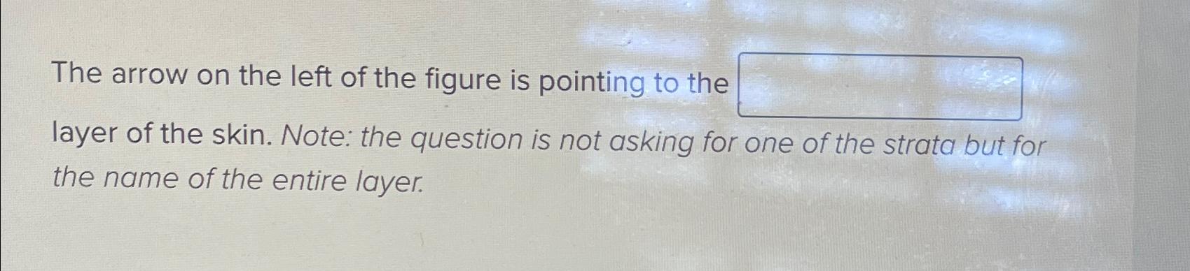 Solved The arrow on the left of the figure is pointing to | Chegg.com