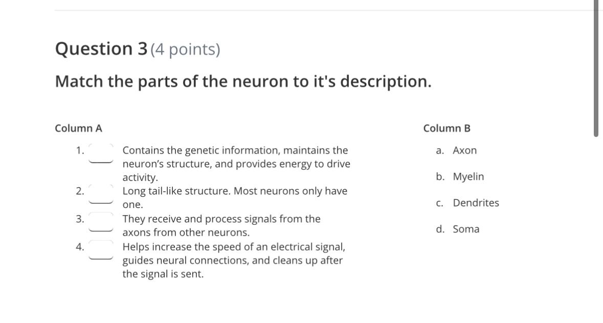 Solved Question 3(4 ﻿points)Match the parts of the neuron to | Chegg.com