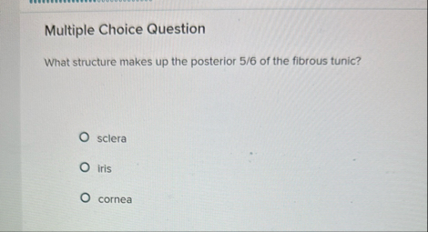 [Solved]: Multiple Choice Question What structure makes up t