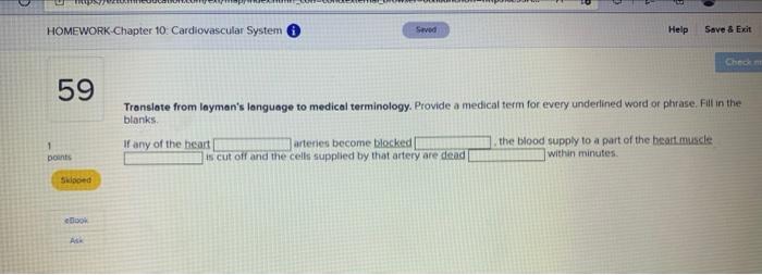 Solved HOMEWORK Chapter 10: Cardiovascular System Seved Help | Chegg.com