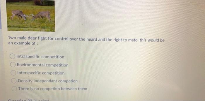 Interspecific Competition Examples