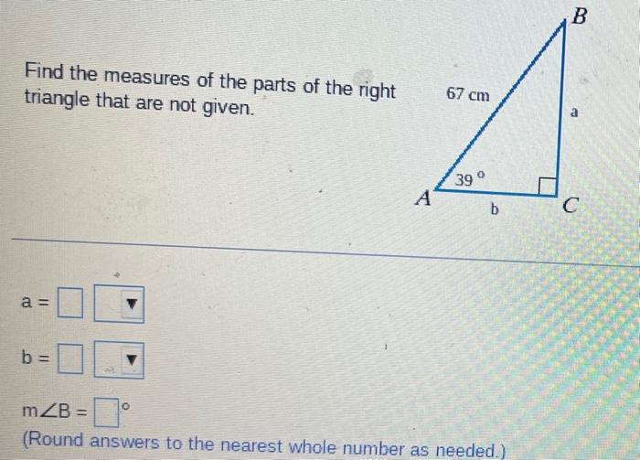 Solved Find the measures of the parts of the right triangle | Chegg.com
