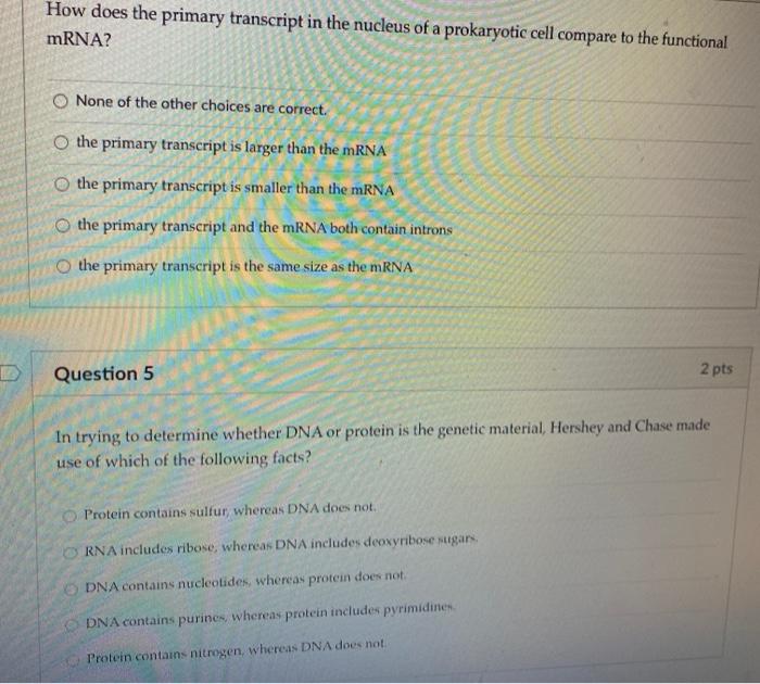 Solved How does the primary transcript in the nucleus of a | Chegg.com