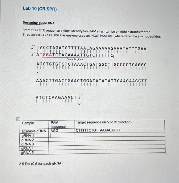 Solved Lab 10 (CRISPR) Designing guide RNA From the CFTR | Chegg.com