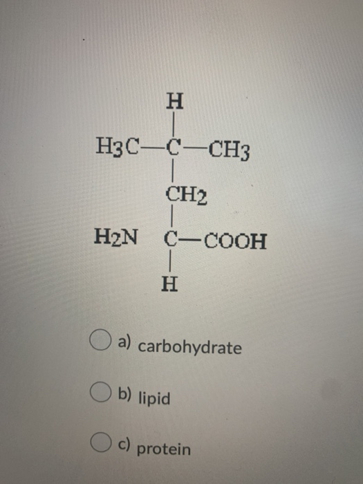 Solved H H3C-C-CH3 CH2 H2N C-COOH Н a) carbohydrate Ob) | Chegg.com