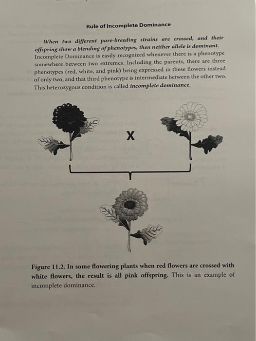 Solved Rule of Incomplete Dominance When two different | Chegg.com