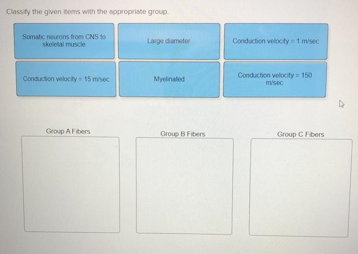 Solved Classify the given items with the appropriate group. | Chegg.com