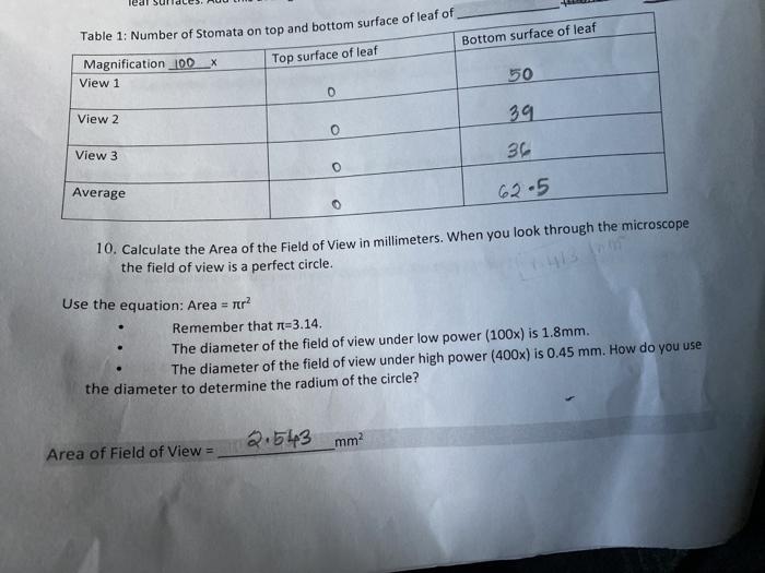 Solved Table 1: Number of Stomata on top and bottom surface | Chegg.com