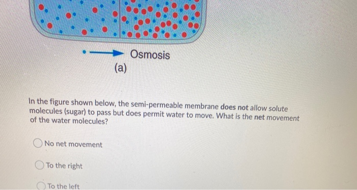 Solved vvater • Sugar Semipermeable membrane Osmosis (a) In | Chegg.com