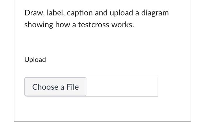Solved Draw, label, caption and upload a diagram showing how | Chegg.com