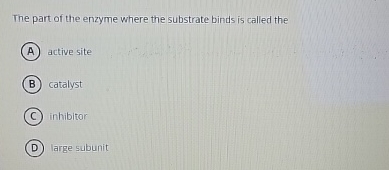 Solved The part of the enzyme where the substrate binds is | Chegg.com