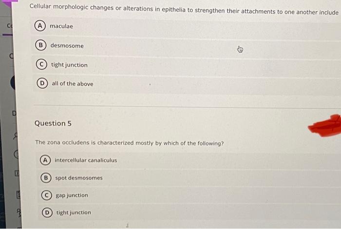 Solved Question 2 Fingerlike projections that are found in | Chegg.com