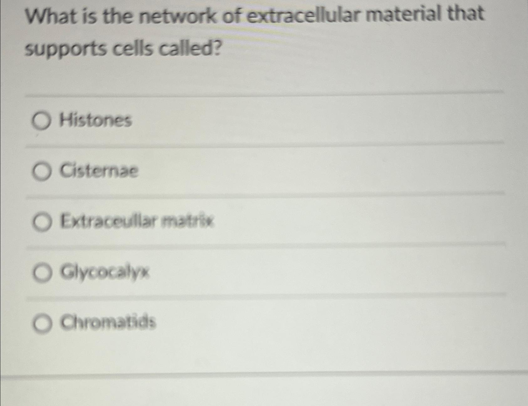 Solved What is the network of extracellular material that | Chegg.com