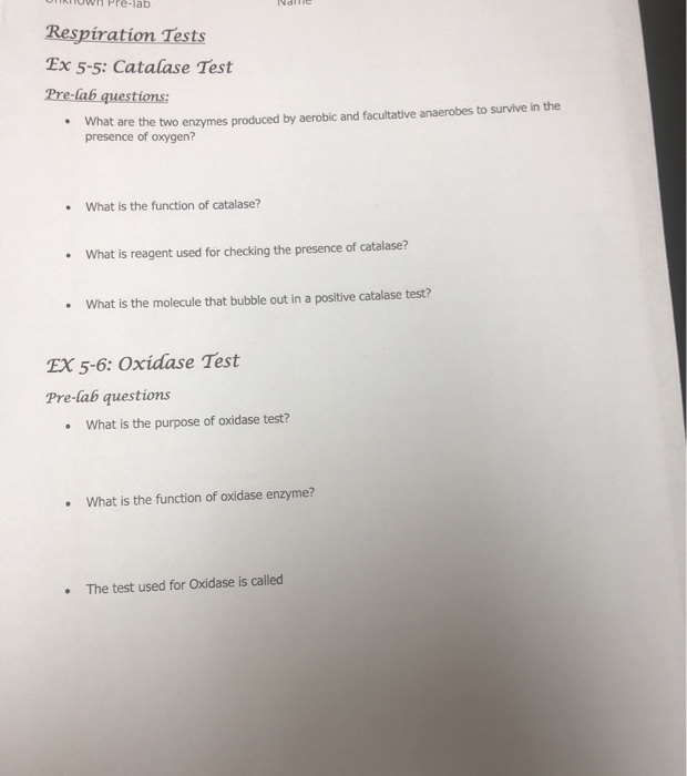 Solved UNTUWI Pre-lab Respiration Tests Ex 5-5: Catalase | Chegg.com