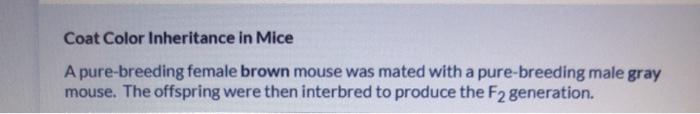Solved Coat Color Inheritance in Mice A pure-breeding female | Chegg.com