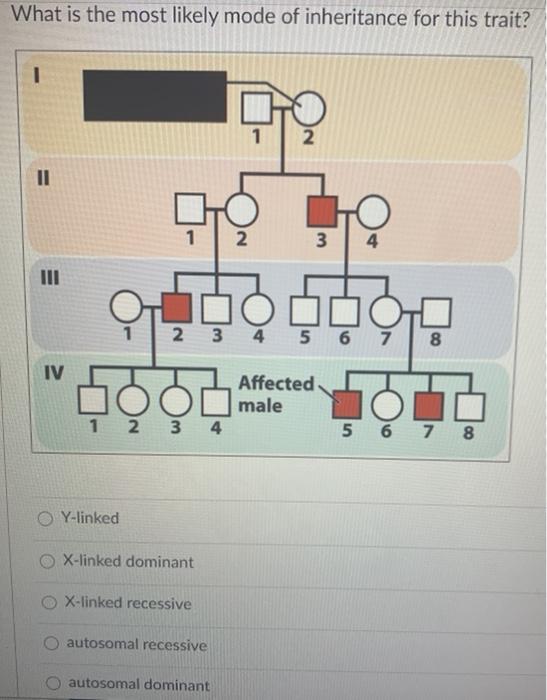 Solved What Is The Most Likely Mode Of Inheritance For This 4484