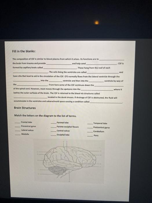 Solved NAME Identify the meningeal (or associated) | Chegg.com