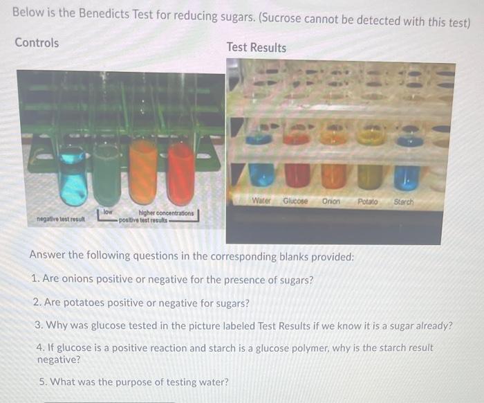 Solved Below is the Benedicts Test for reducing sugars. | Chegg.com