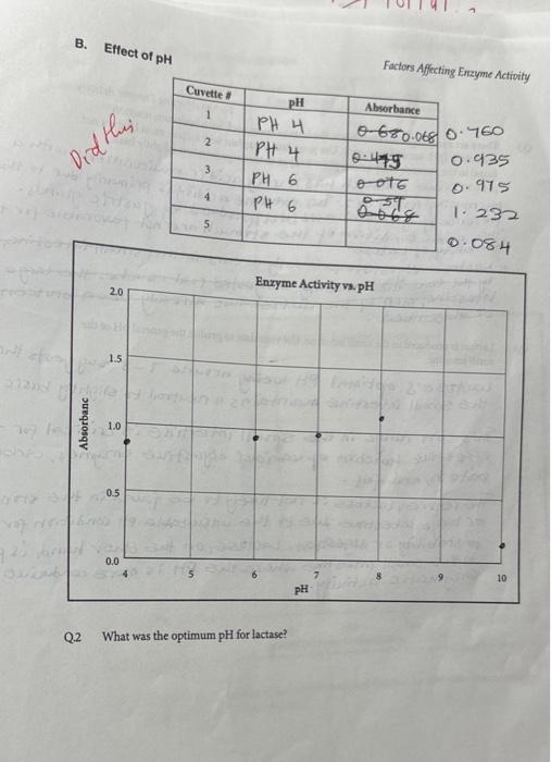 Solved A. Effect of Enzyme Concentration Factors Affecting | Chegg.com
