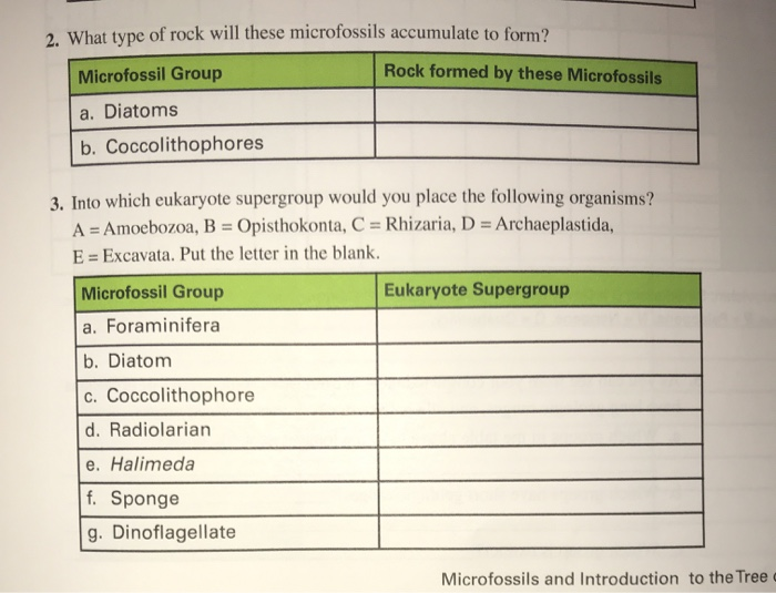 Solved 2. What type of rock will these microfossils | Chegg.com