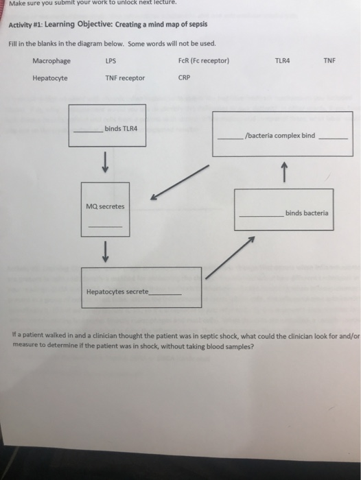 Solved need help with determining sepsis mind map for | Chegg.com