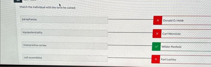 Solved Match the indlvidual with the term he coined. | Chegg.com