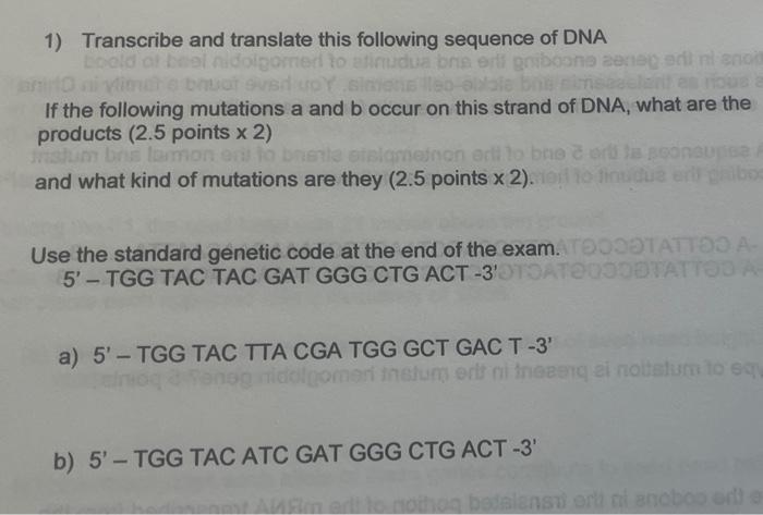 Solved 1) Transcribe and translate this following sequence | Chegg.com Solved 1) Transcribe and translate this following sequence | Chegg.com