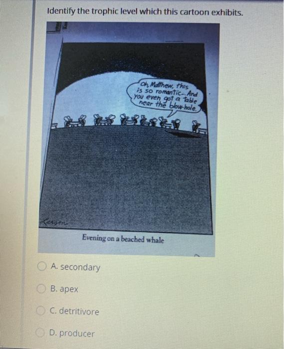 Solved Identify the trophic level which this cartoon | Chegg.com