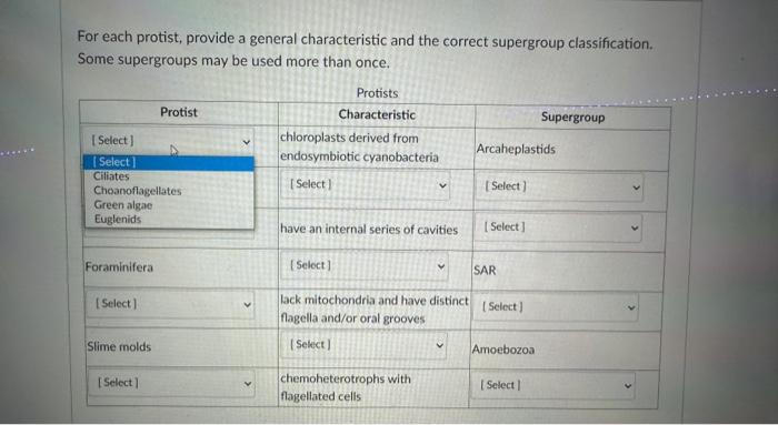 Solved For each protist, provide a general characteristic | Chegg.com