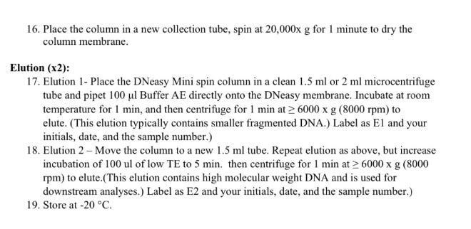 What was the purpose of adding lysis buffer and | Chegg.com