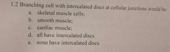 Solved 1.2 ﻿Branching cell with intercalated discs at | Chegg.com