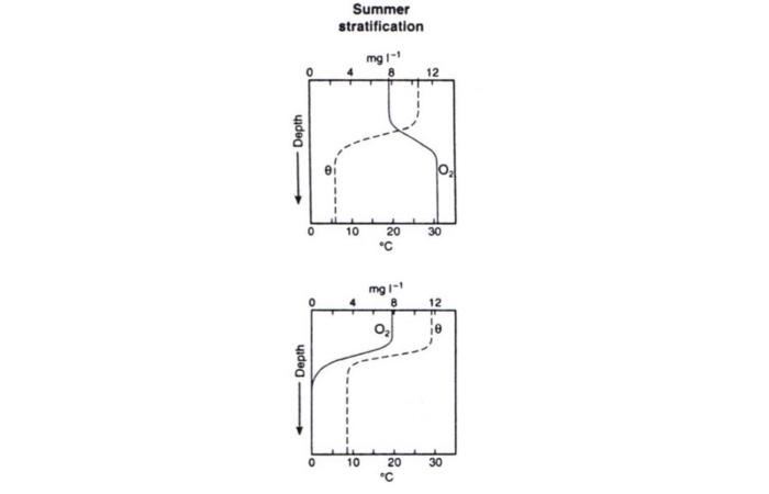 8. Given the vertical profiles of oxygen and | Chegg.com