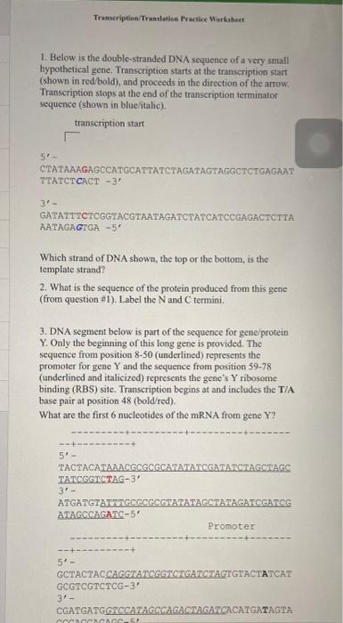 Solved Transcription/Translation Practice Worksheet 1. Below | Chegg.com